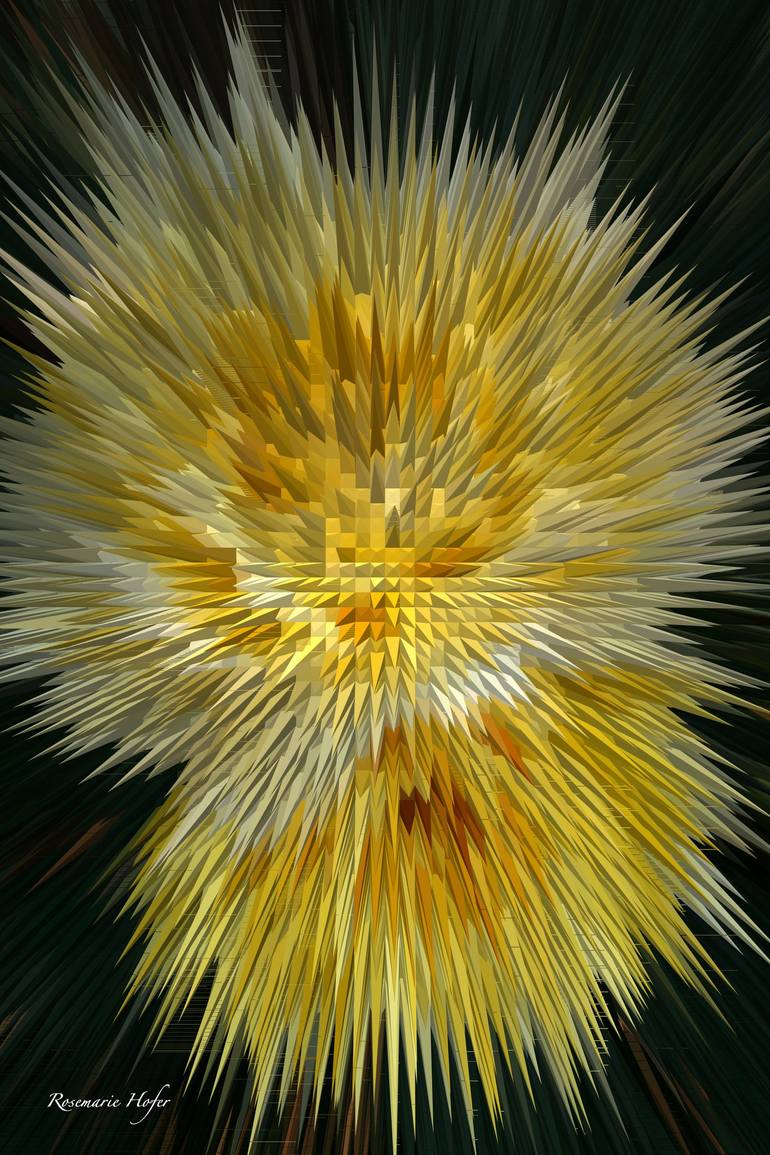 Flower Explosion I Photography by Rosemarie Hofer | Saatchi Art