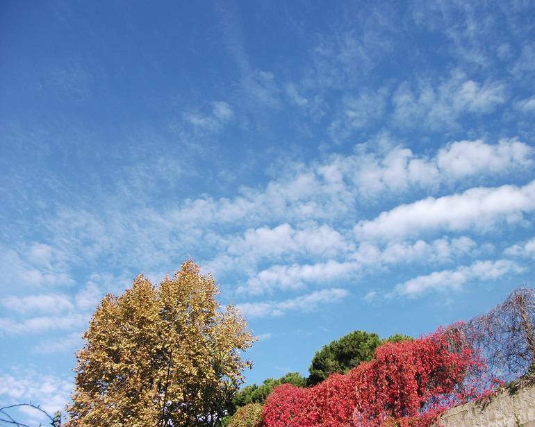 Italian Autumn - Color in the italian landscape - The Roman and italian ...