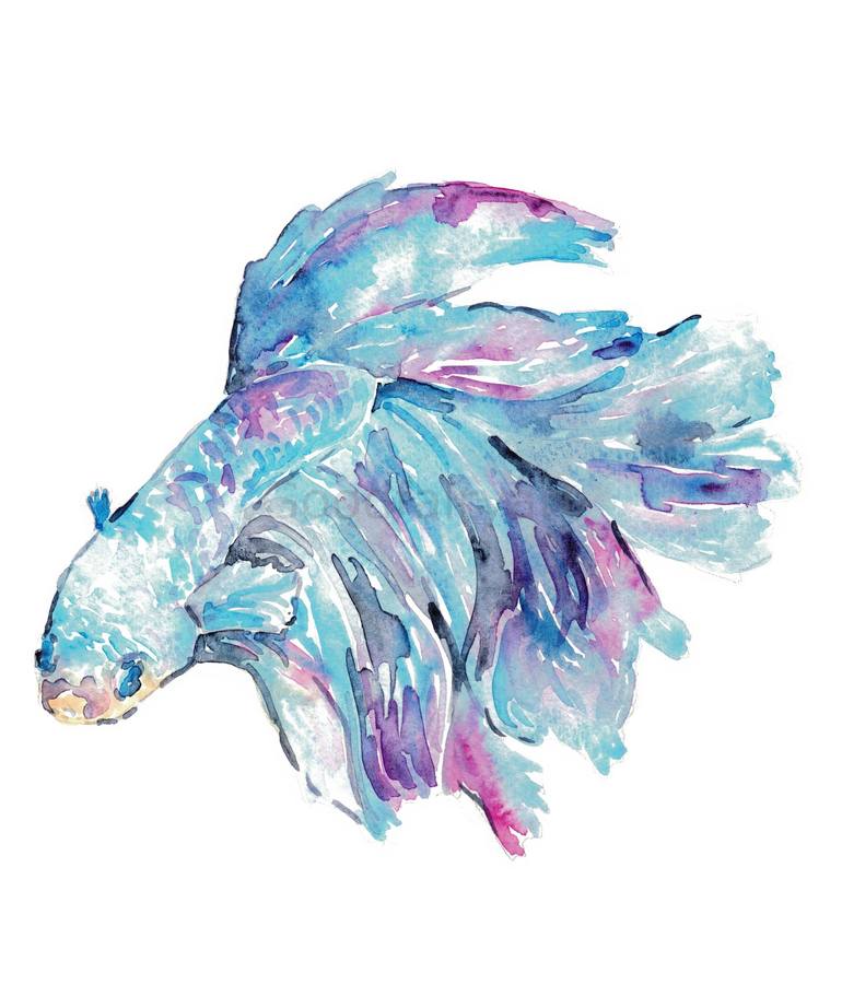 Betta fish watercolor painting Painting by Maryna Salagub | Saatchi Art ...