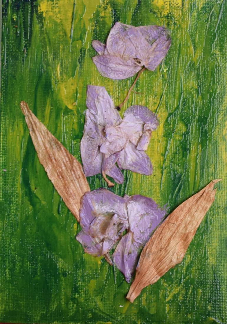 Orchid Flowers Collages