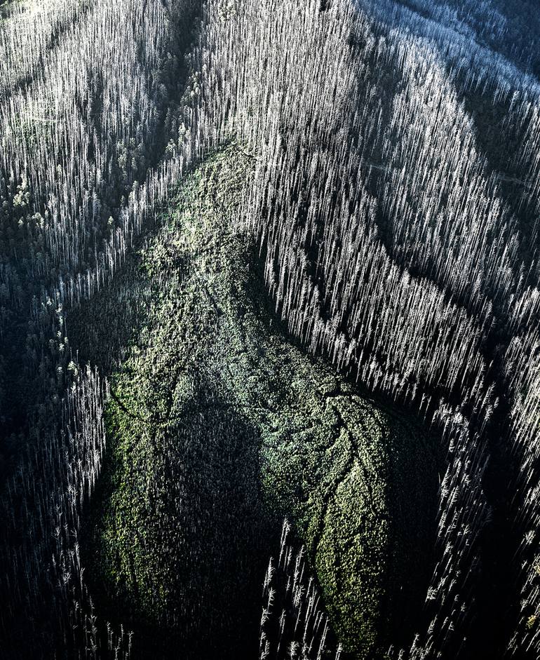 Post Apocalypse Plate #11 - Limited Edition 1 of 9 Photography by Ric ...