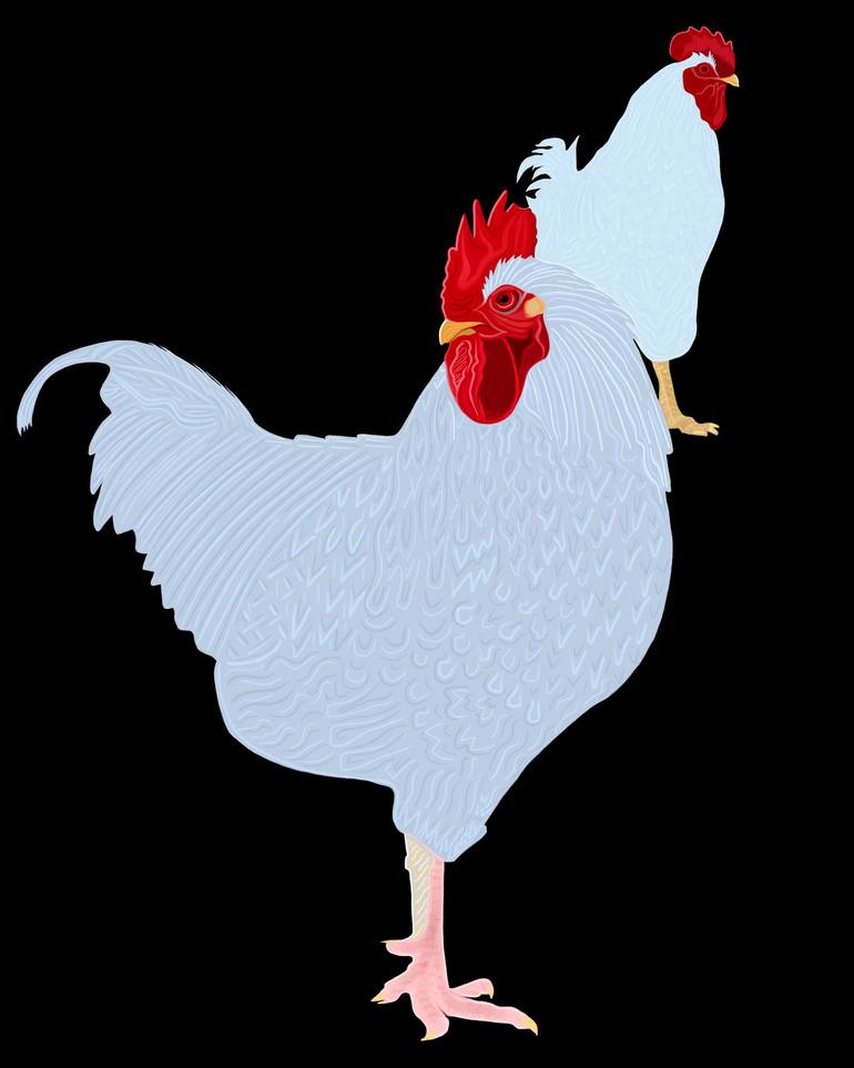 Two White Roosters Drawing by Evan Sklar | Saatchi Art