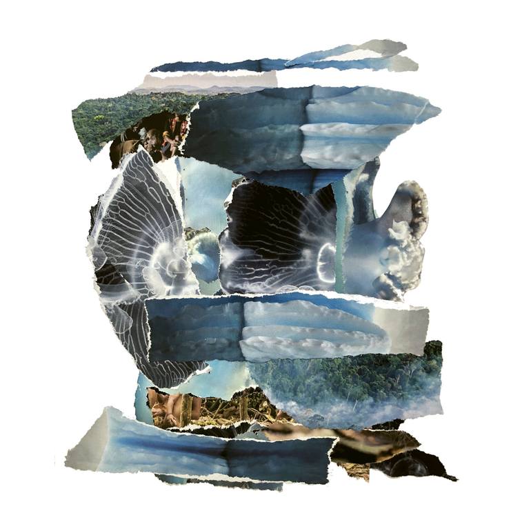 Re-Evolution Collage by Sam Birt | Saatchi Art