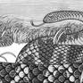 Northern Pine Snake and Woolgrass Drawing by Guy Radcliffe | Saatchi Art