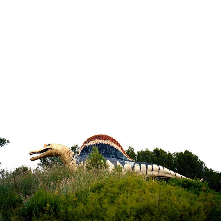 Dino 2 ( Portraits ) 5 sold - Limited Edition of 100 Photography by ...