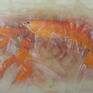 Lobster Painting by Verner Finlay | Saatchi Art