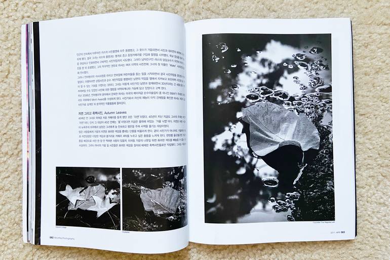 Stillness Newest Limited Edition 1/10 Photography by Marcia Schulman ...