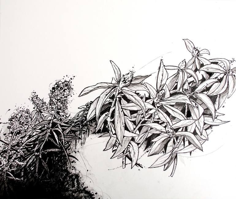 Border patrol. Drawing by Richard Lee | Saatchi Art