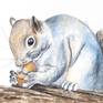 Squirrel Hoarding Nuts in the Park Painting by Guinevere Saunders ...