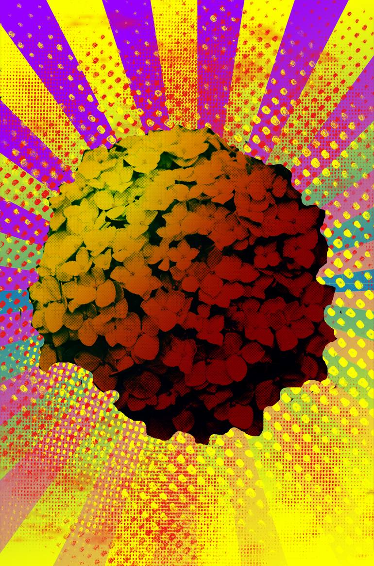 Pop art, pop flower - Pop art color digital manipulated photo Digital ...