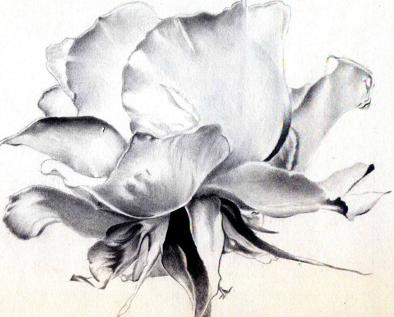 plain Drawing by Leo Kalendarev | Saatchi Art