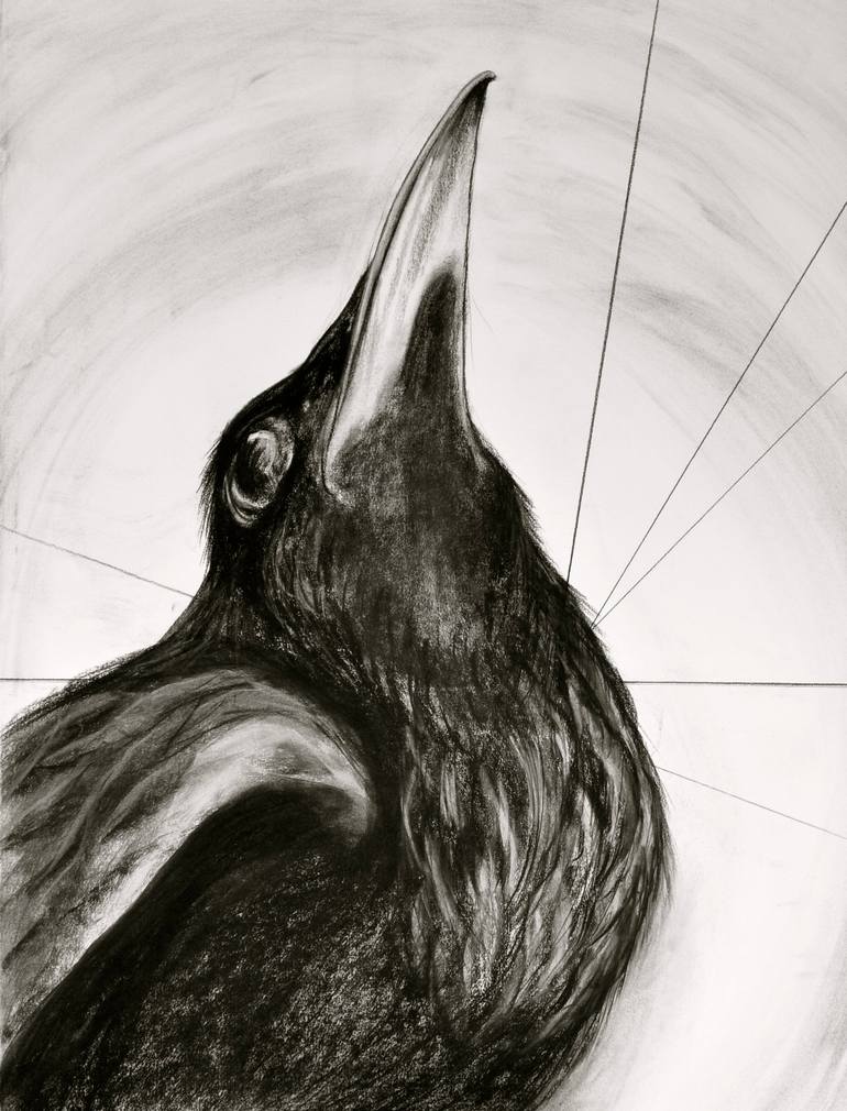 Crow Drawing by Cydney French | Saatchi Art