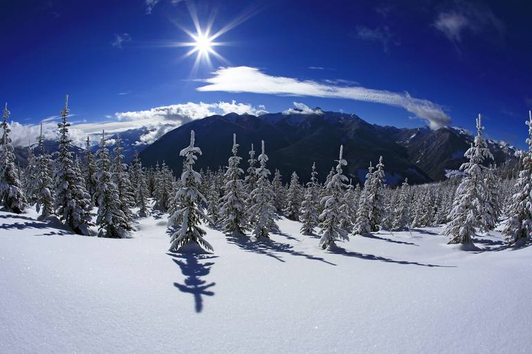 Sun-Snow-Trees & Mountains Photography by Lucas Jmieff | Saatchi Art