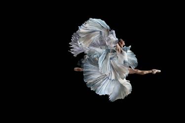 Heather Offord Artworks | Saatchi Art