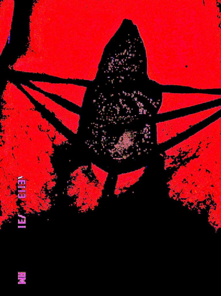 Black Knight Photography by Gregory Bolton | Saatchi Art