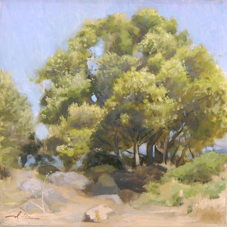 Tree Study, Mont Boron Painting by Daniel Coln | Saatchi Art