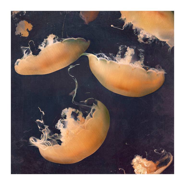 Monterey Blues - Limited Edition of 25 Photography by Nadia Attura ...