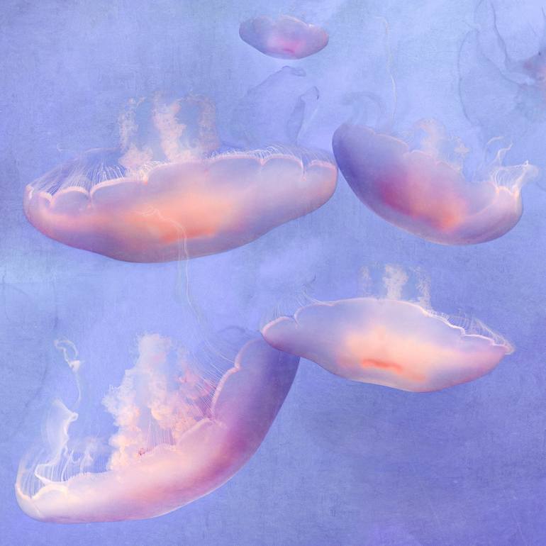 Monterey Quartz - on brushed aluminium Photography by Nadia Attura ...