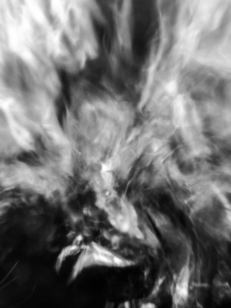 Unveil II (Limited edition of 30) Photography by Markus Pesonen ...