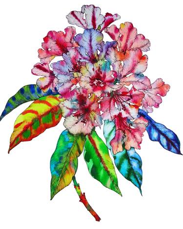 Sofia Perina-Miller Artworks | Saatchi Art