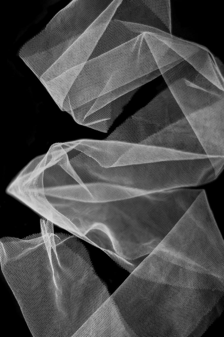 Veil texture I - Limited Edition of 25 Photography by Larisa Siverina ...