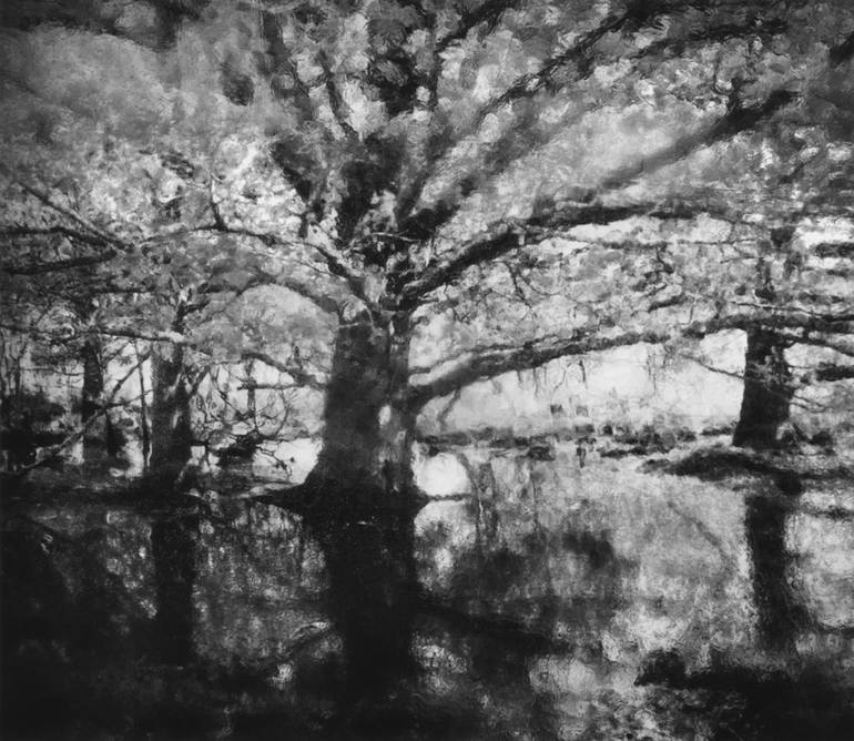 PN # 240-417 - Limited Edition of 1/3 Photography by Nicolas Baghir ...