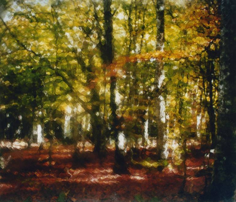 PNC # 447-625 - Limited Edition of 1 Photography by Nicolas Baghir ...