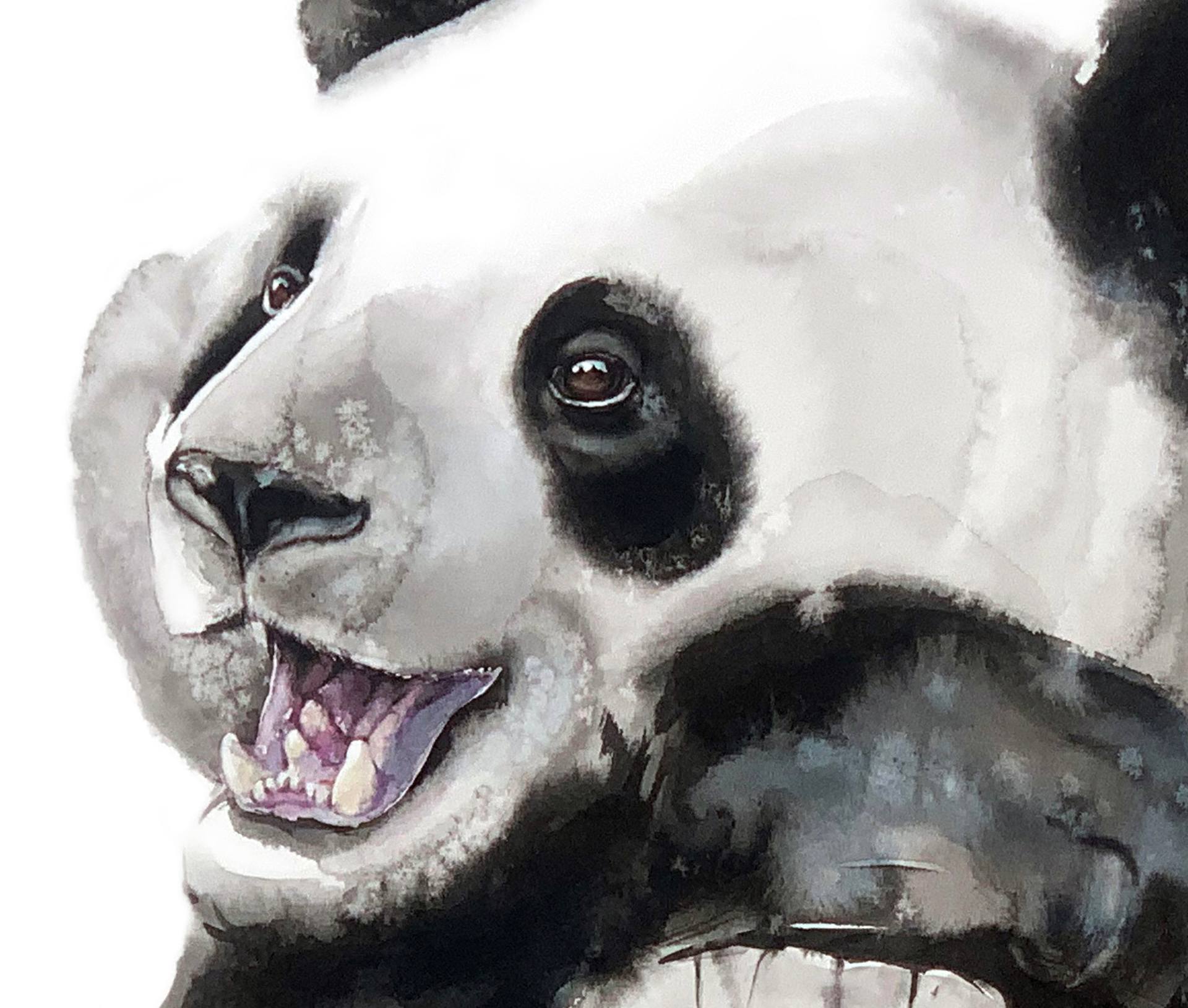 Realistic Panda Bear Drawings