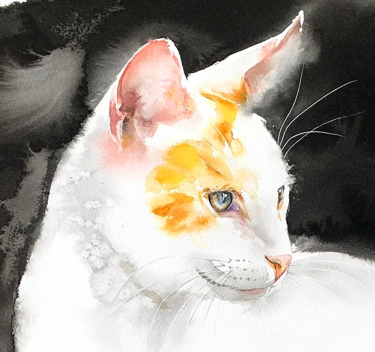 Pearly Whiskers Drawing by Soo Beng Lim | Saatchi Art