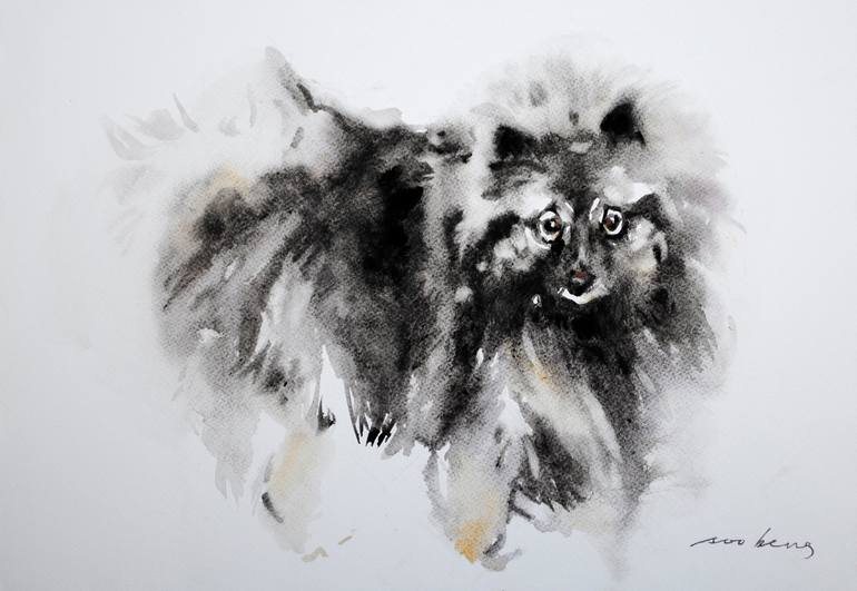 Keeshond Drawing by Soo Beng Lim | Saatchi Art