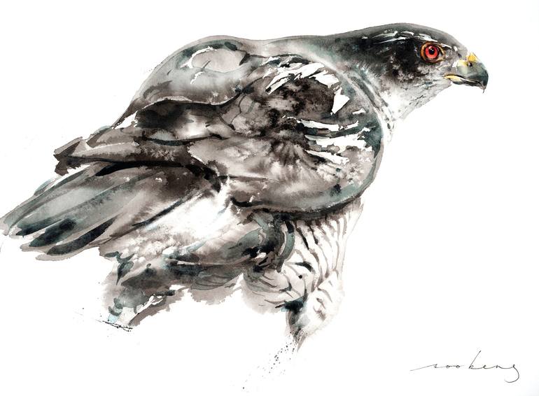 Goshawk Drawing by Soo Beng Lim | Saatchi Art