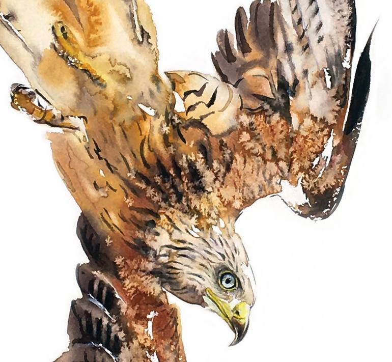 Red Kite in Flight Drawing by Soo Beng Lim | Saatchi Art