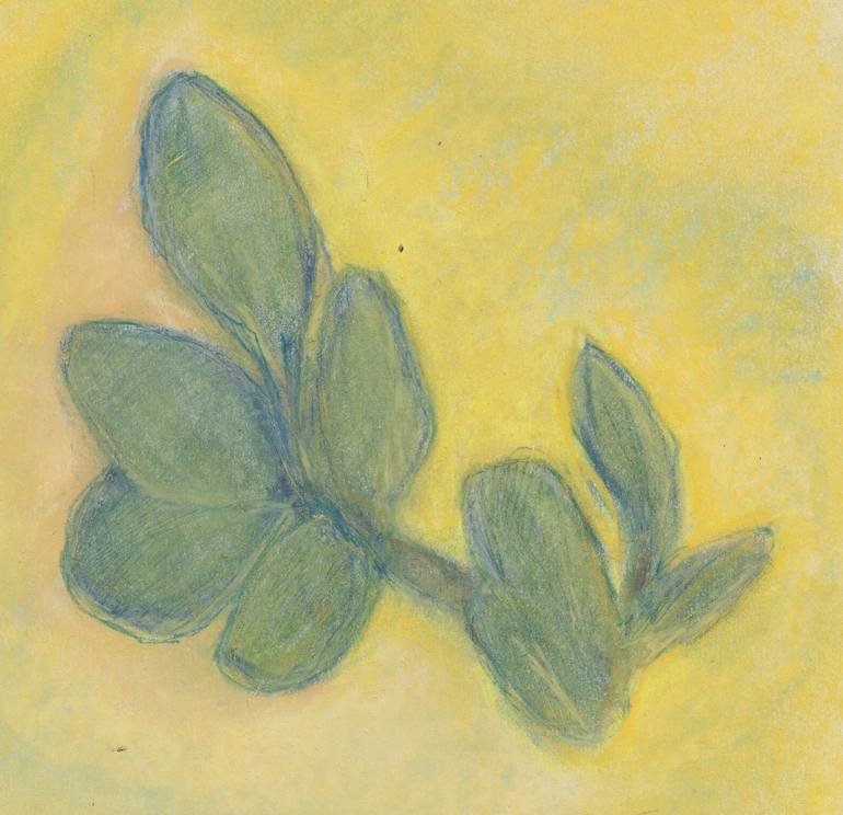jade plant october Drawing by Jeffrey Yount | Saatchi Art