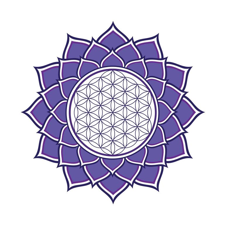 Flower of Life Drawing by Galactic Mantra | Saatchi Art