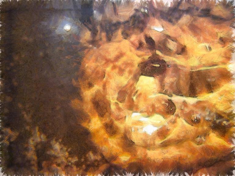 Tiger out of the mist Photography by Ashish Agarwal | Saatchi Art