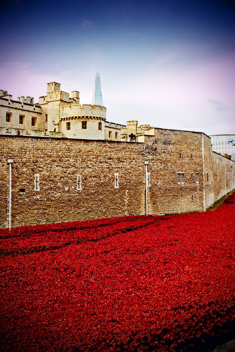 Tower of London Poppy Red Poppies Photography by Andy Evans Photos ...