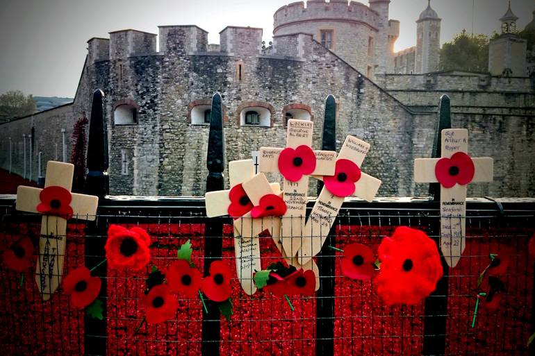 Tower Of London Poppies Red Poppy Photography by Andy Evans Photos ...