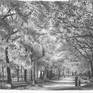 Autumn in the Park Drawing by Jerry Winick | Saatchi Art