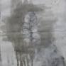 feather Drawing by Ines Seidel | Saatchi Art
