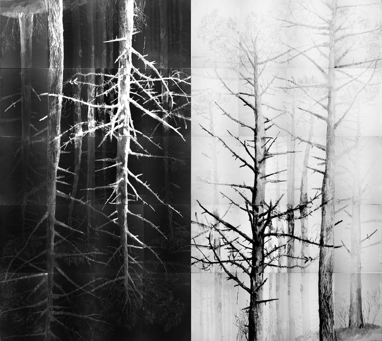 Forest of shadows Drawing by Juan Carlos Gauli Prez | Saatchi Art