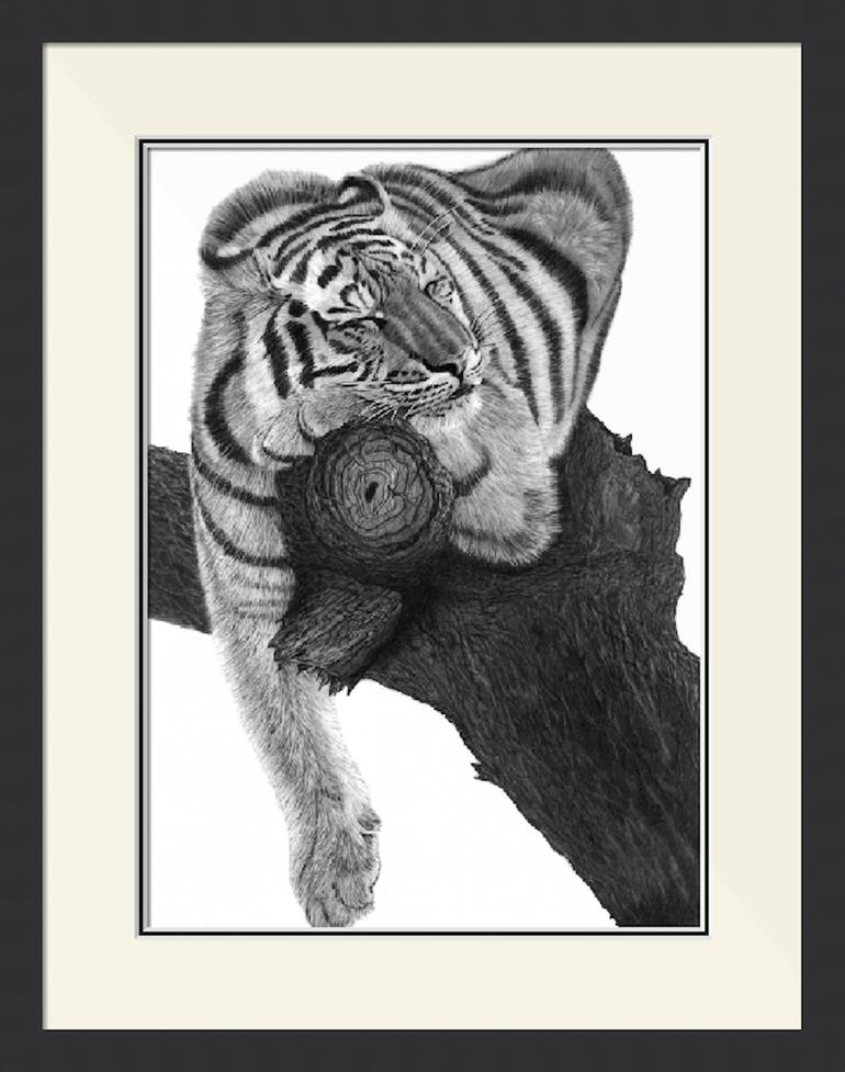 Sleeping Tiger Drawing by Paul Stowe | Saatchi Art