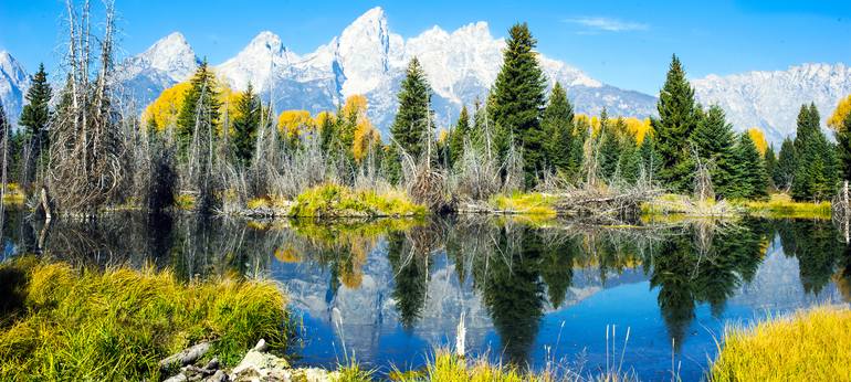 Grand Tetons / Colors of Fall Photography by Eric Lowenberg | Saatchi Art
