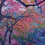 Maple Light Painting by Erin Hanson | Saatchi Art