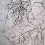 Hidden Bird. Drawing by Patricia Coenjaerts | Saatchi Art