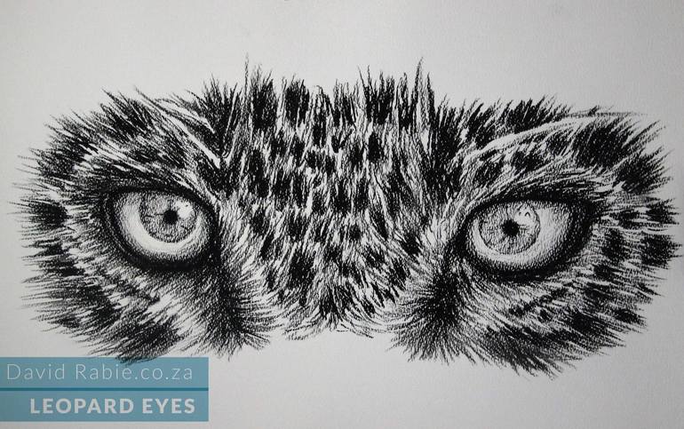 Leopard Eyes V Drawing by David Rabie | Saatchi Art