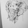 African Elephant Drawing by David Rabie | Saatchi Art