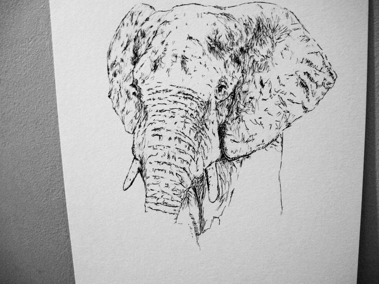 African Elephant Drawing by David Rabie | Saatchi Art