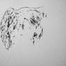 African Elephant Drawing by David Rabie | Saatchi Art