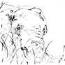 Midst Drawing by David Rabie | Saatchi Art