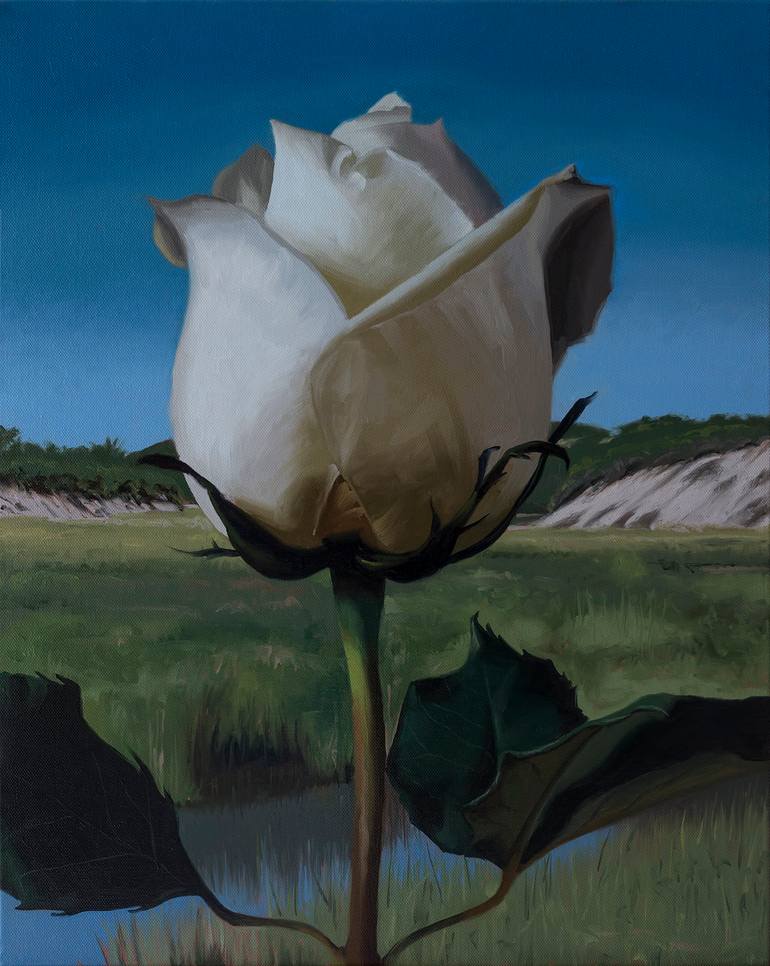 White Rose on the Ptown Moors Painting by Tony Chimento | Saatchi Art